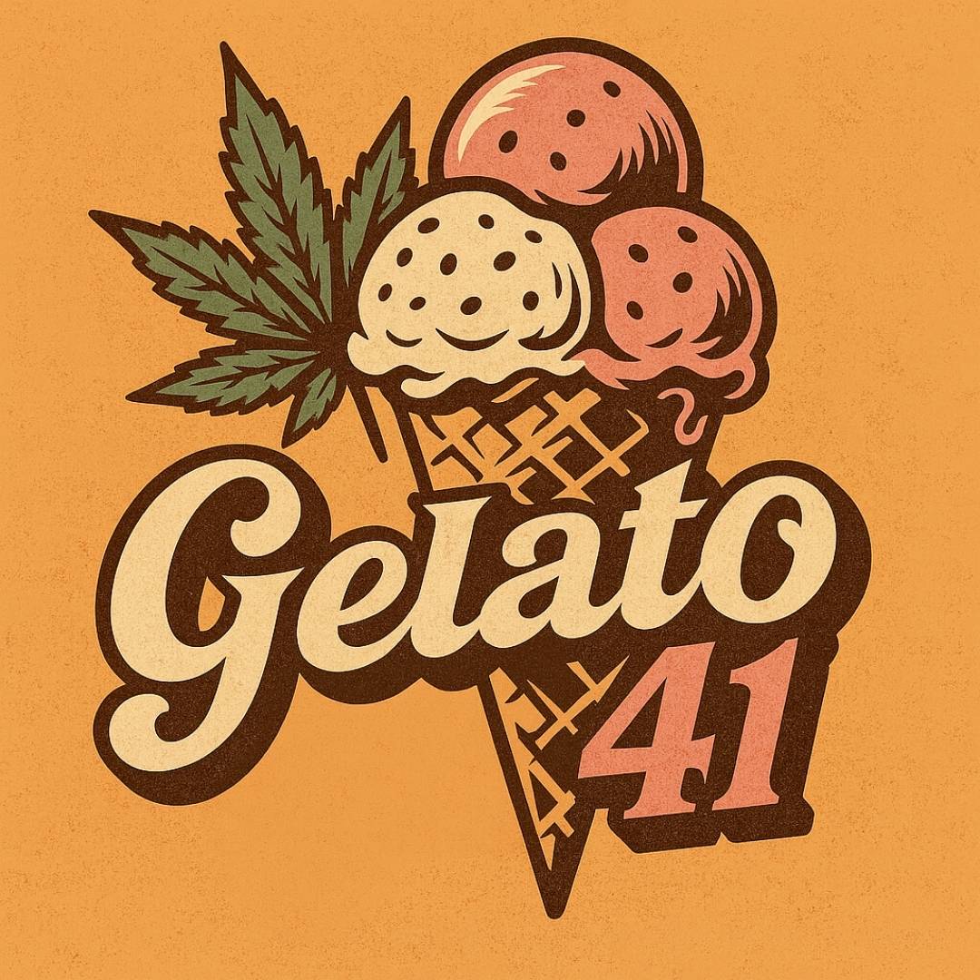 Gelato #41 Auto - CIA Genetics